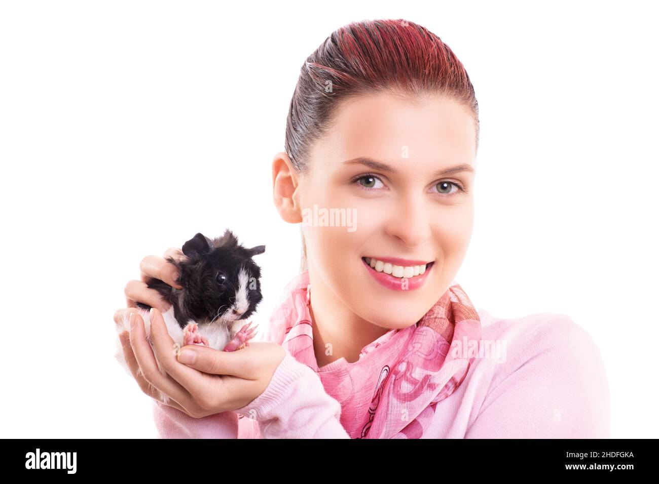 Lady guinea pig hi-res stock photography and images - Alamy
