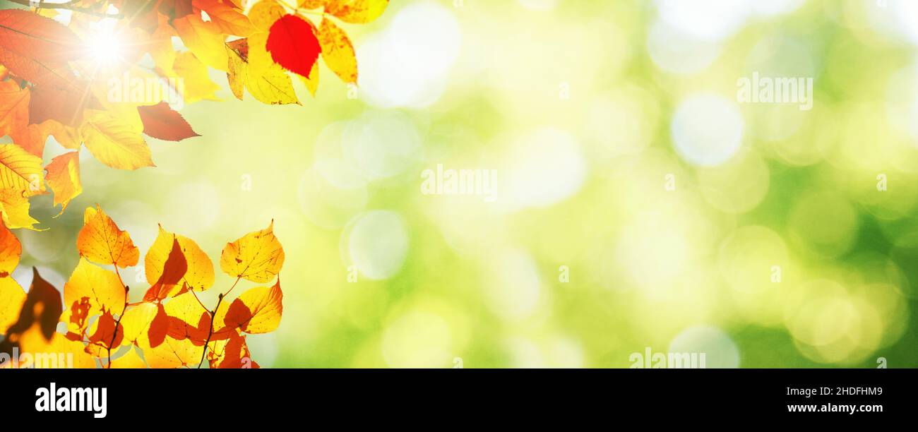 sunlight, autumn, lamps, sun ray, sun rays, sunbeam, sunbeams ...