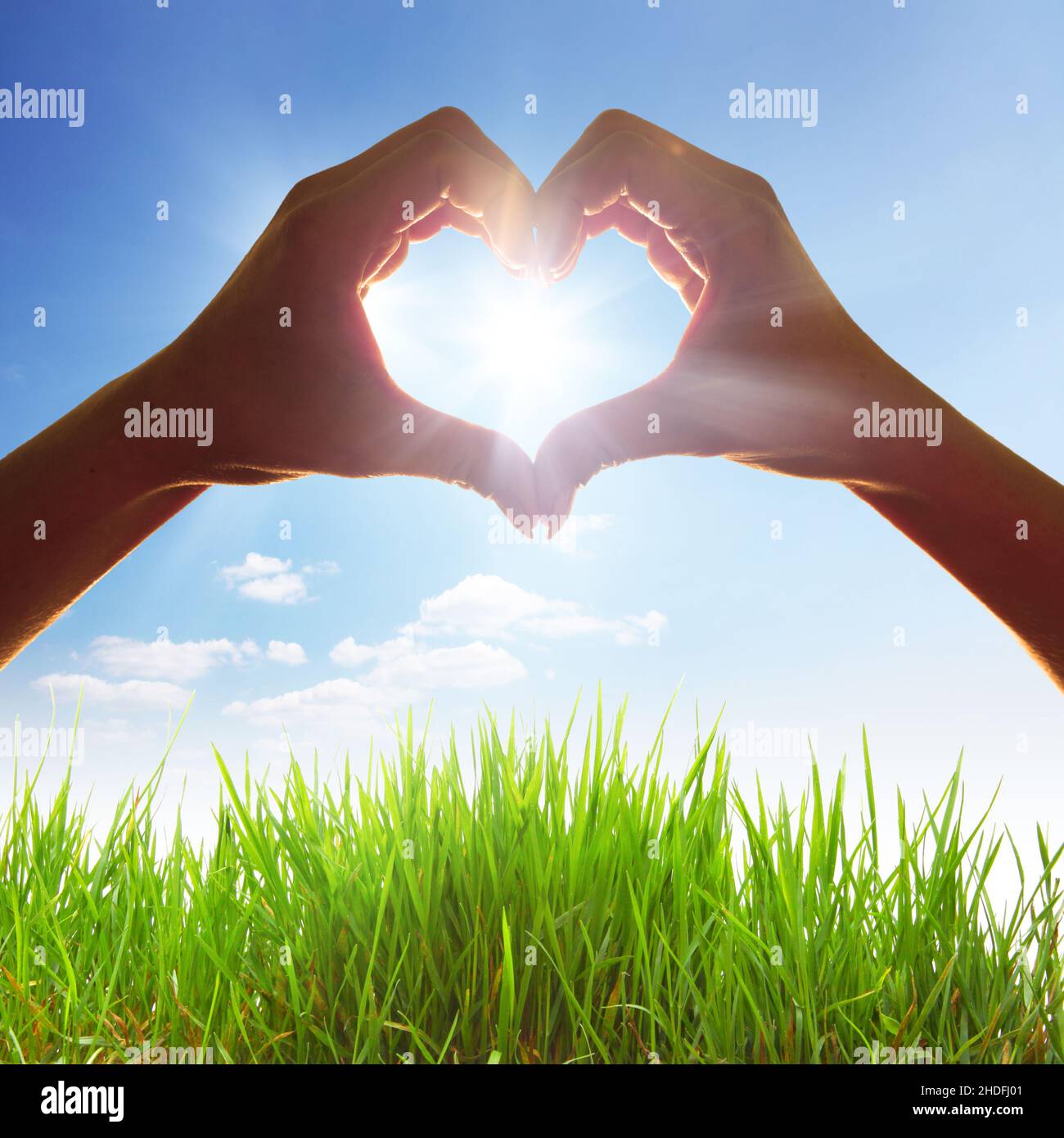 love, heart, hand, gesture, loves, hearts, hands, gestures Stock Photo ...