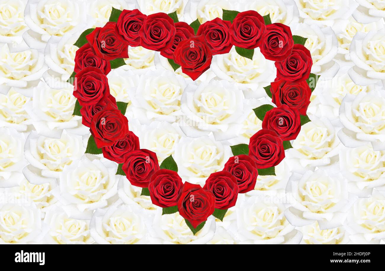 wedding, heart, roses, weddings, hearts, rose Stock Photo - Alamy