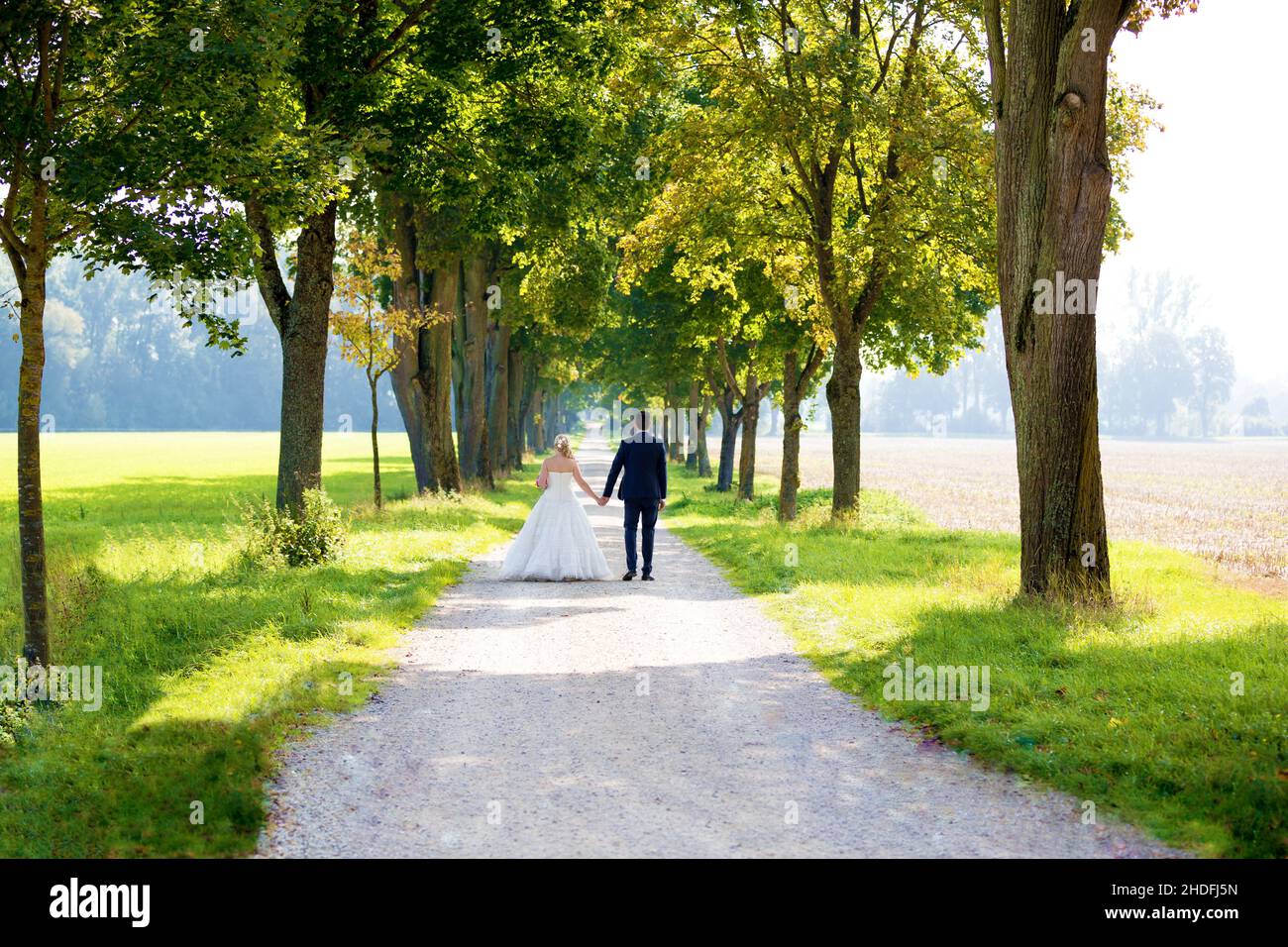 hand in hand, couple, wedding couple, hand in hands, hold hand, holding ...