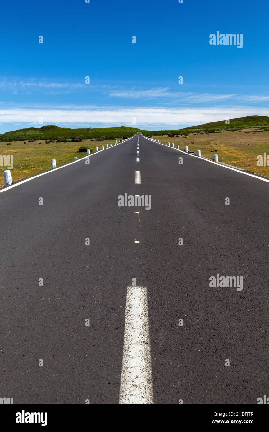 asphalt, straight, road, asphalts, straights, roads, street, streets ...