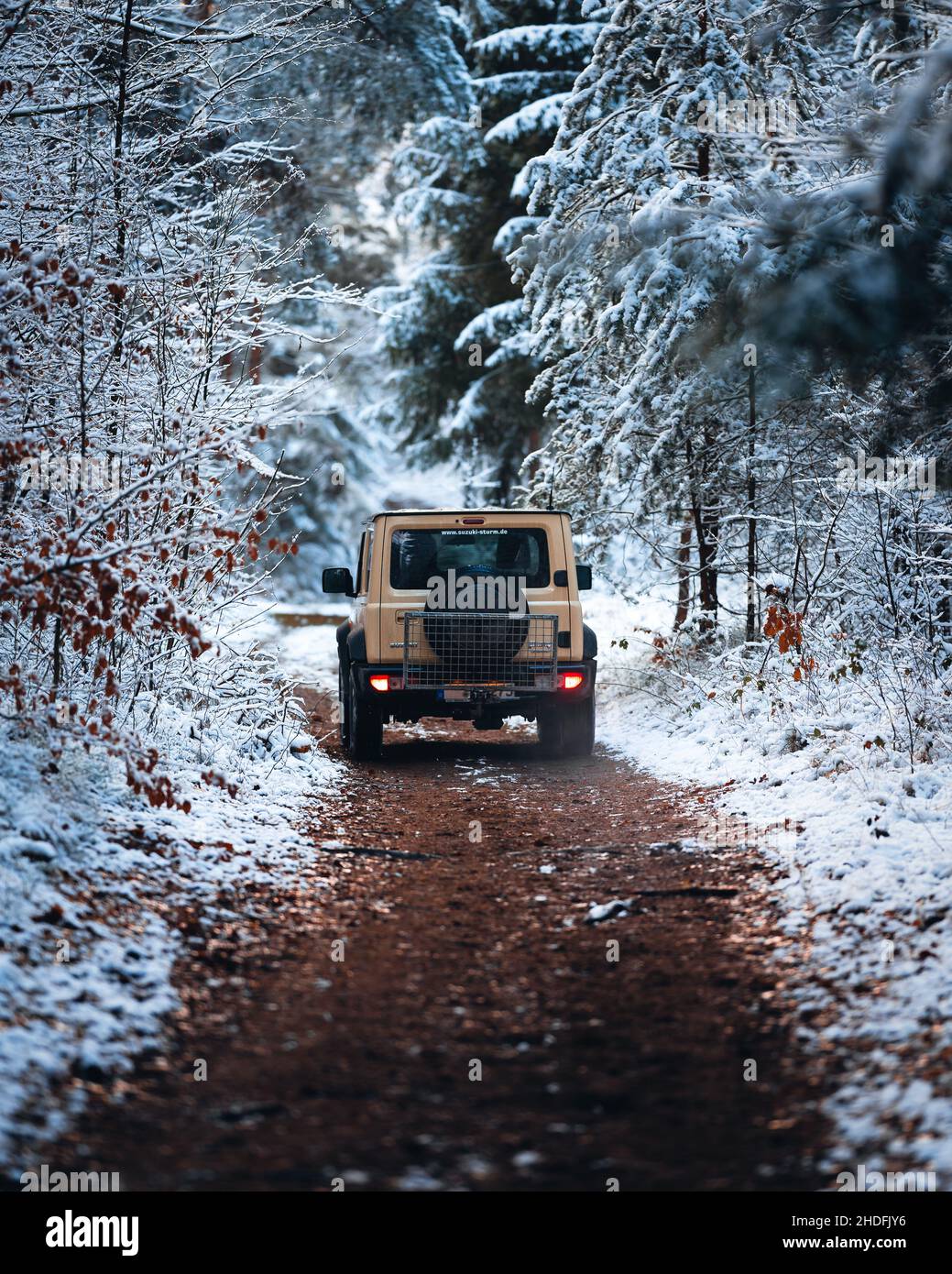 Classic car forest hi-res stock photography and images - Alamy