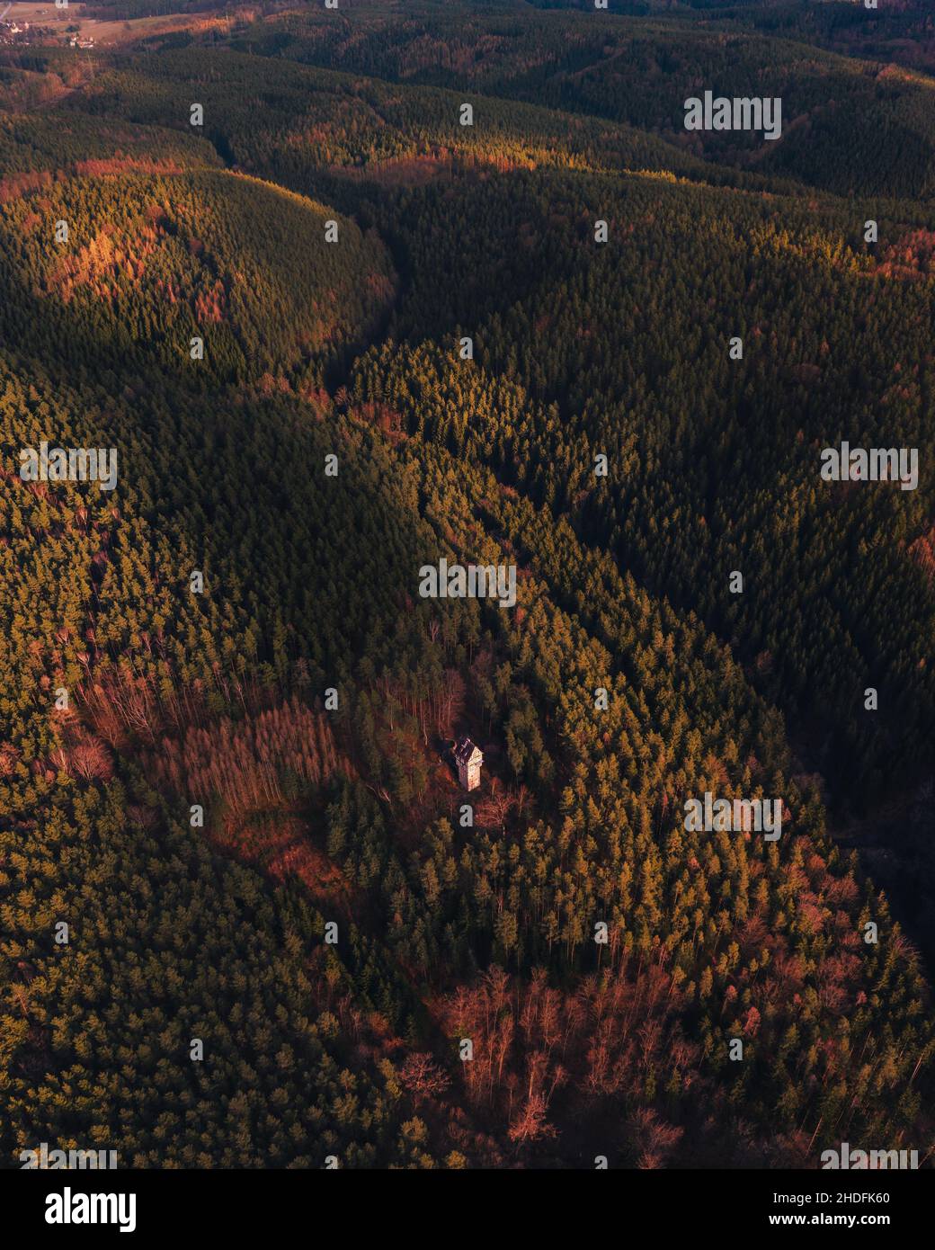 Autumn leaves building in a background hi-res stock photography and ...