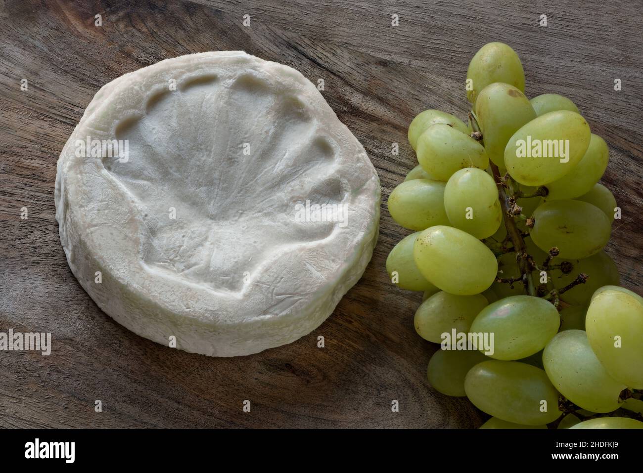 goat cheese, goat cheeses Stock Photo - Alamy