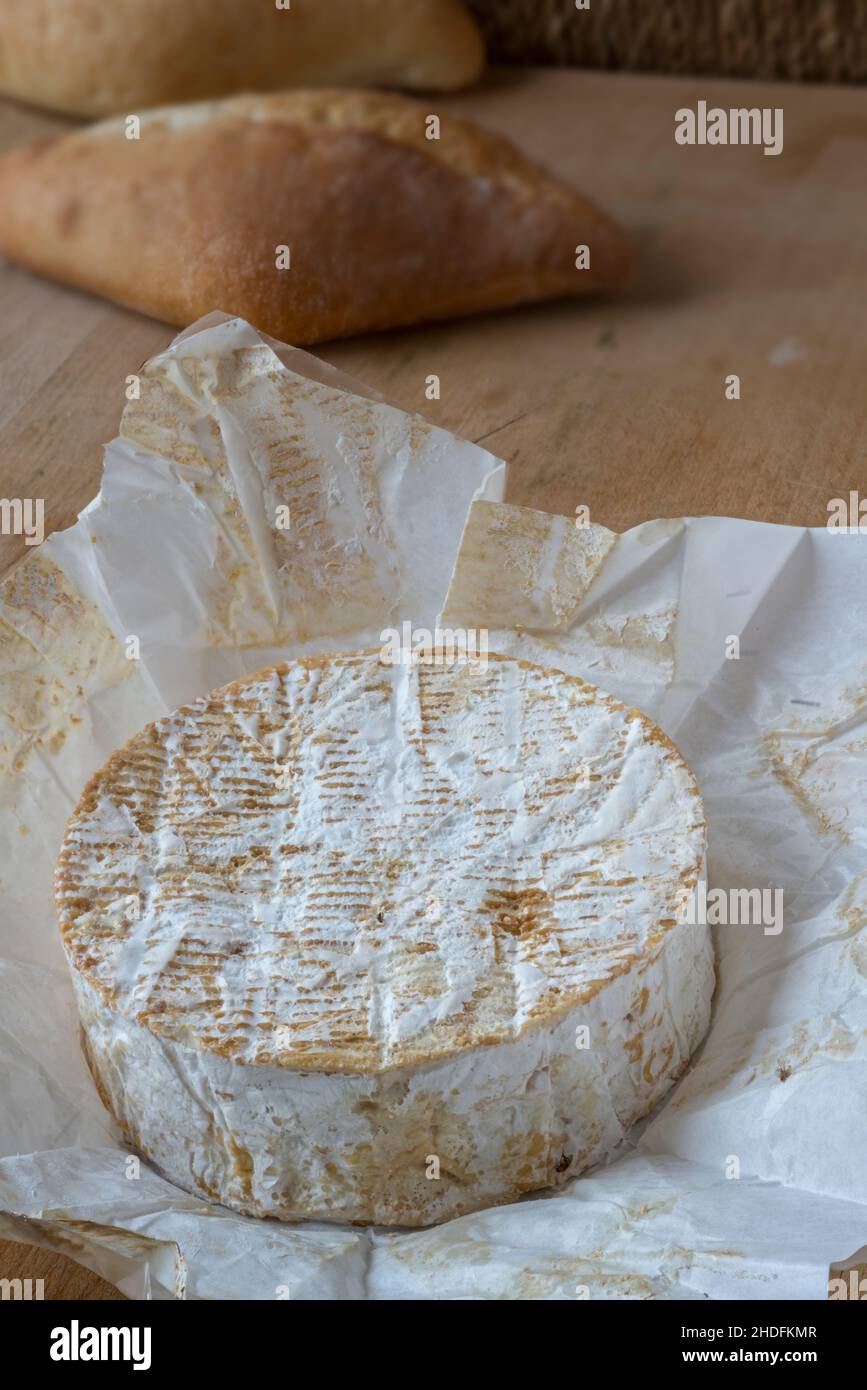 cheese, camembert, cheeses Stock Photo - Alamy