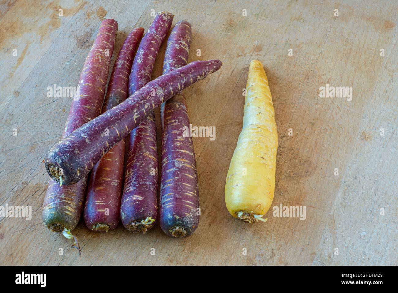 carrots, variety, carrot, varieties Stock Photo - Alamy