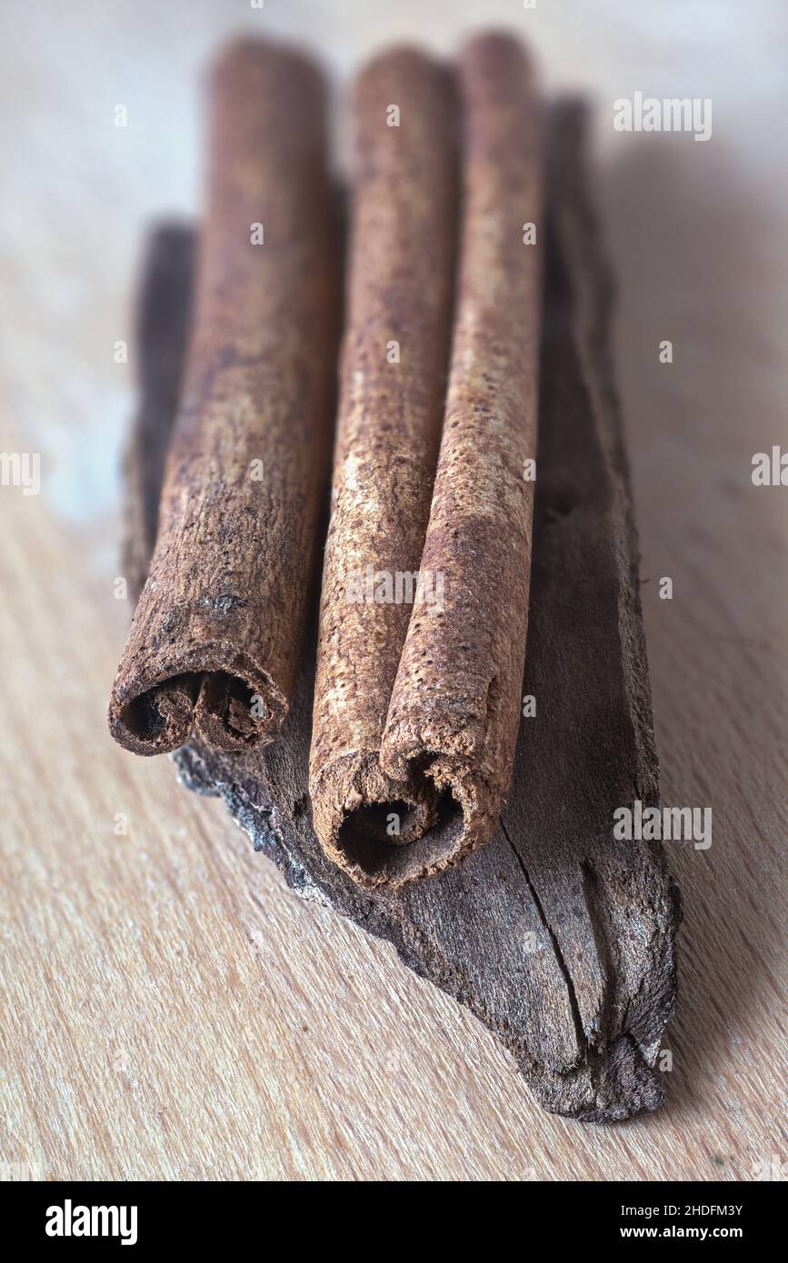 cinnamon stick, cinnamon sticks Stock Photo - Alamy