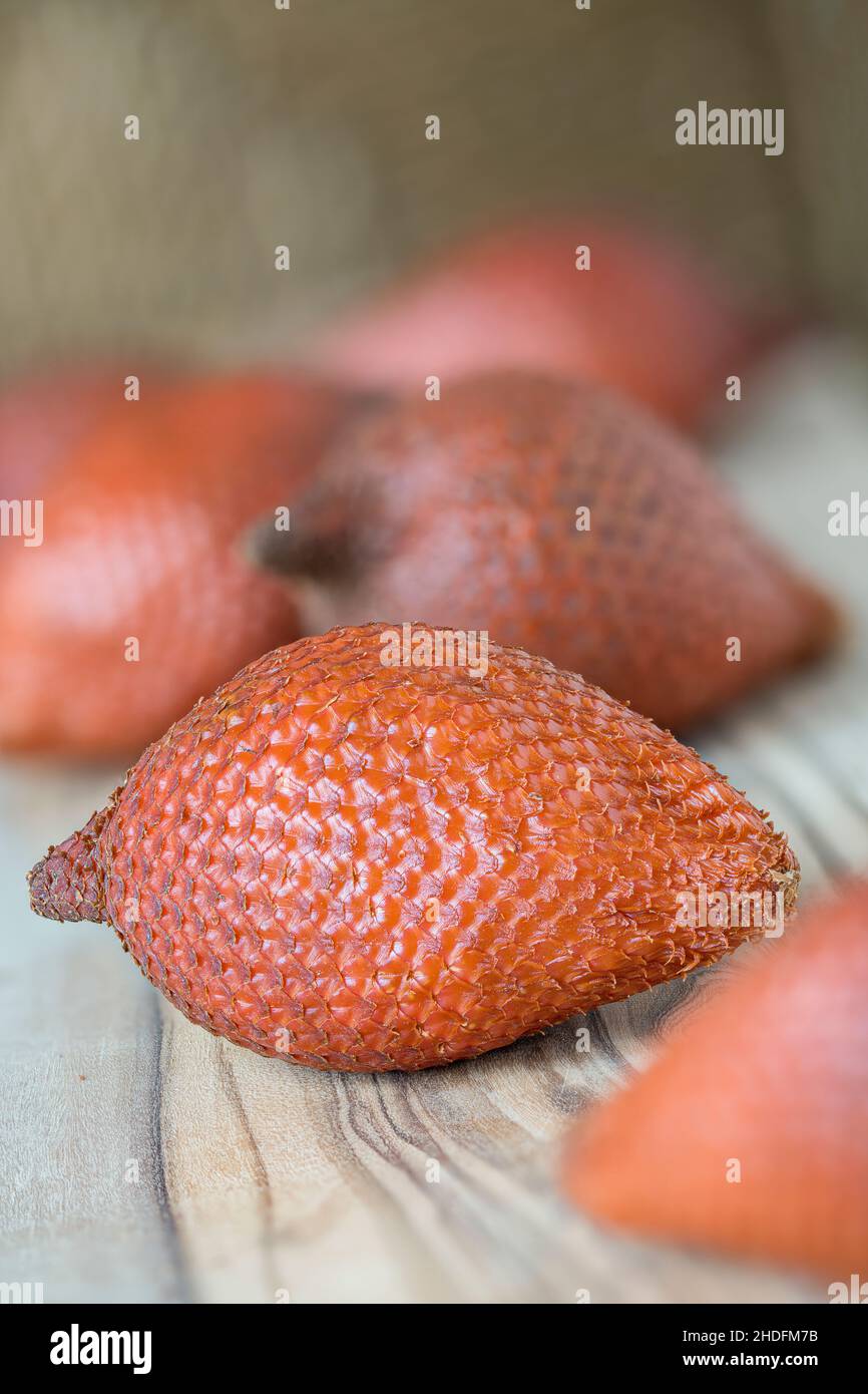 Salak palm tree hi-res stock photography and images - Alamy