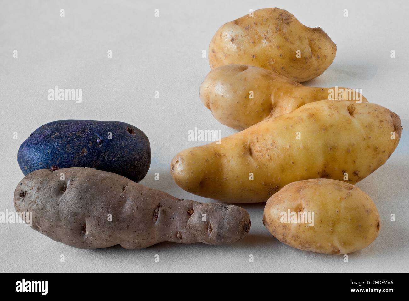 Bamberger potato hi-res stock photography and images - Alamy