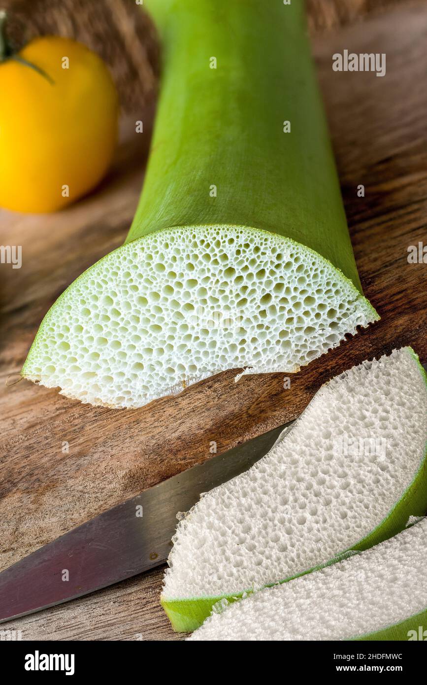 Giant taro indoor hi-res stock photography and images - Alamy