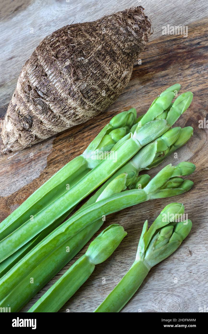 Taro flower hi-res stock photography and images - Alamy