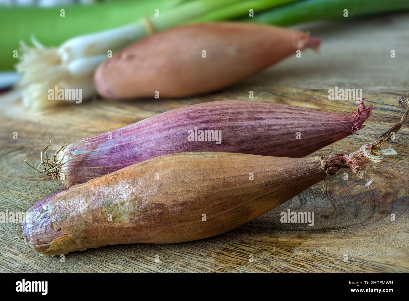 Echalion hi-res stock photography and images - Alamy
