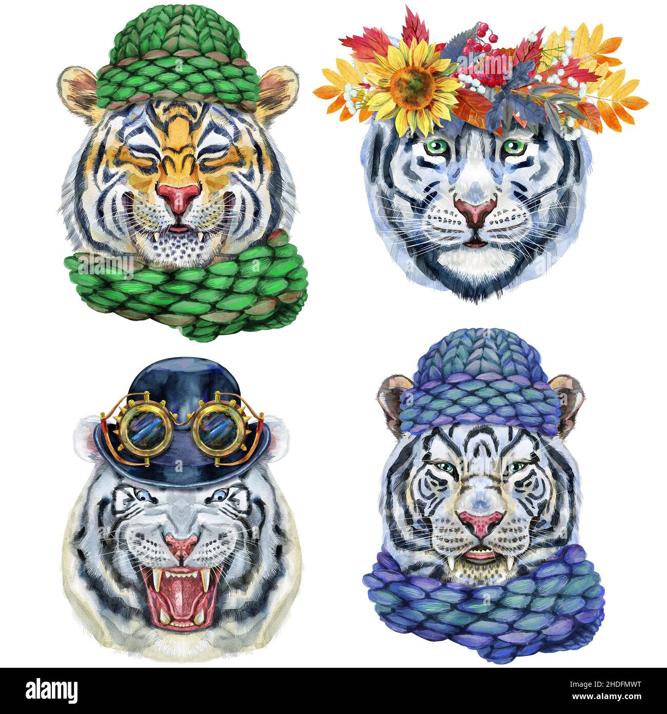 Watercolor illustration of tigers in a knitted winter hat, bowler hat ...