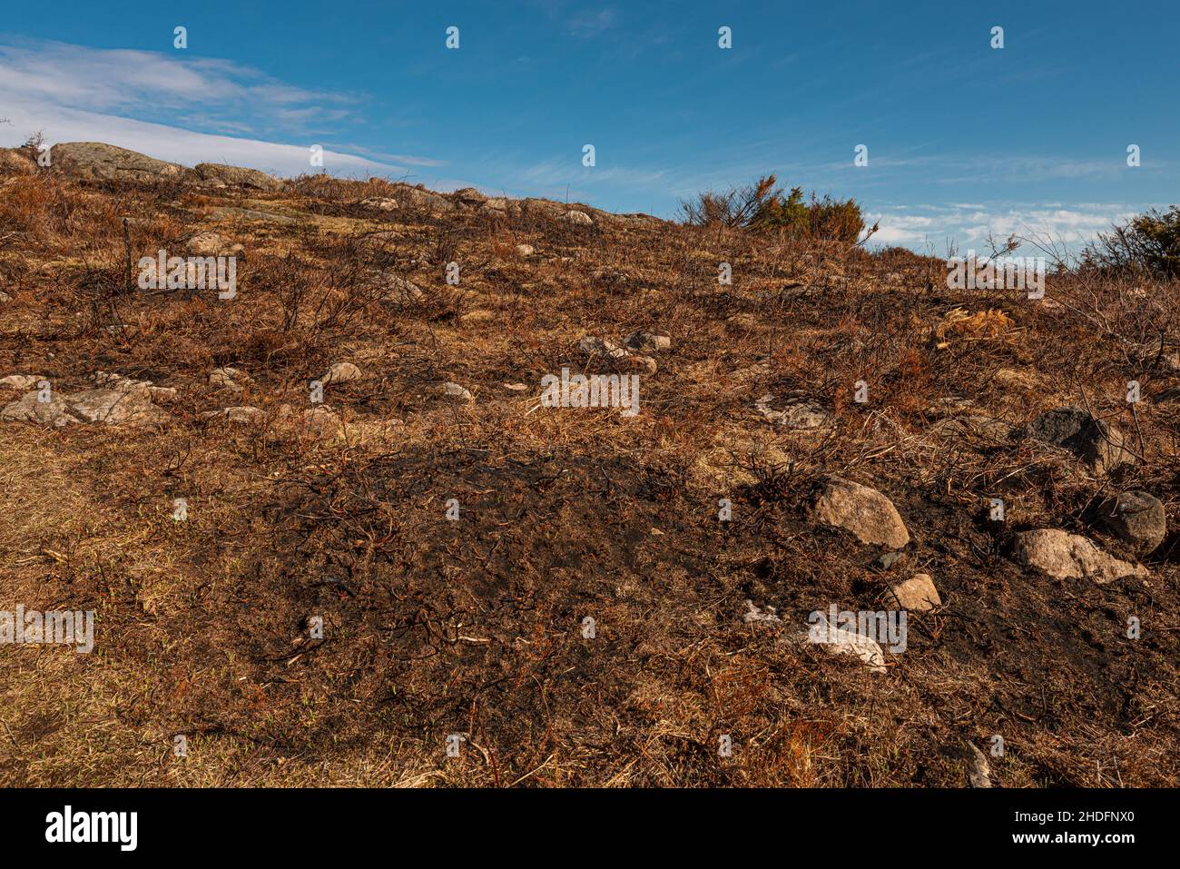 Burnt grass hi-res stock photography and images - Alamy