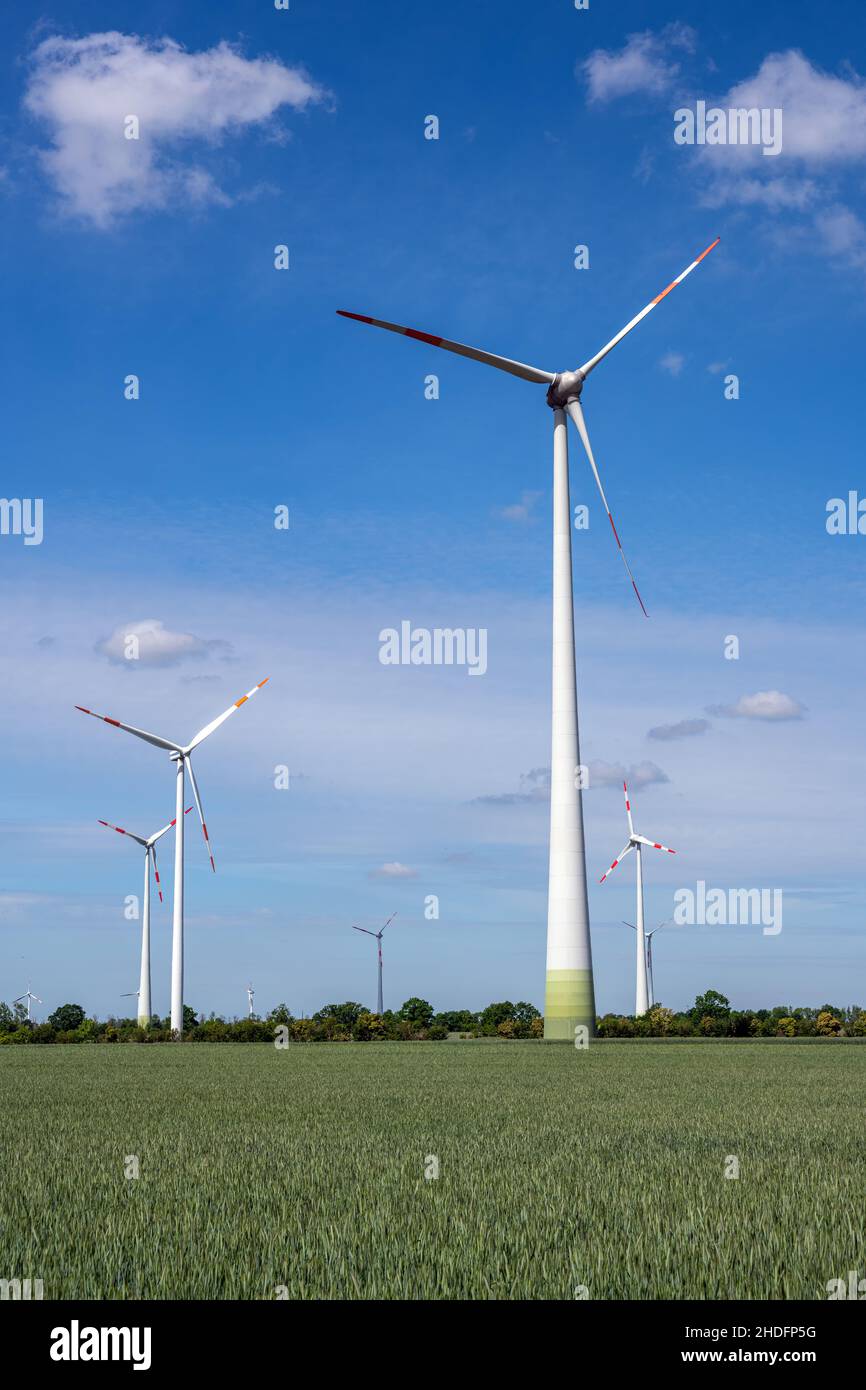 pinwheel, wind power, renewable energy, pinwheels, winds, renewable ...