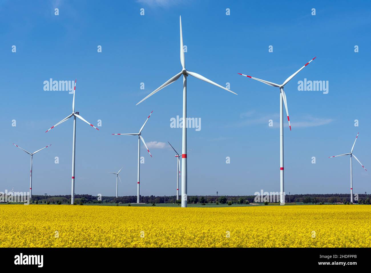 wind power, pinwheel, renewable energy, wind powers, pinwheels ...