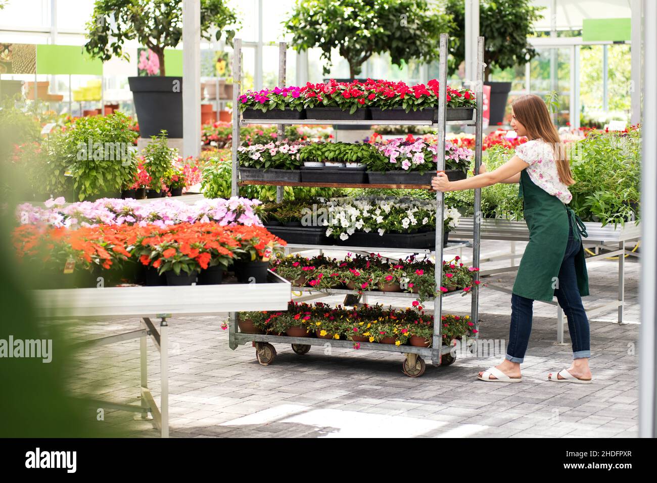 employees, inventory, gardening, employee, inventories, plant care ...