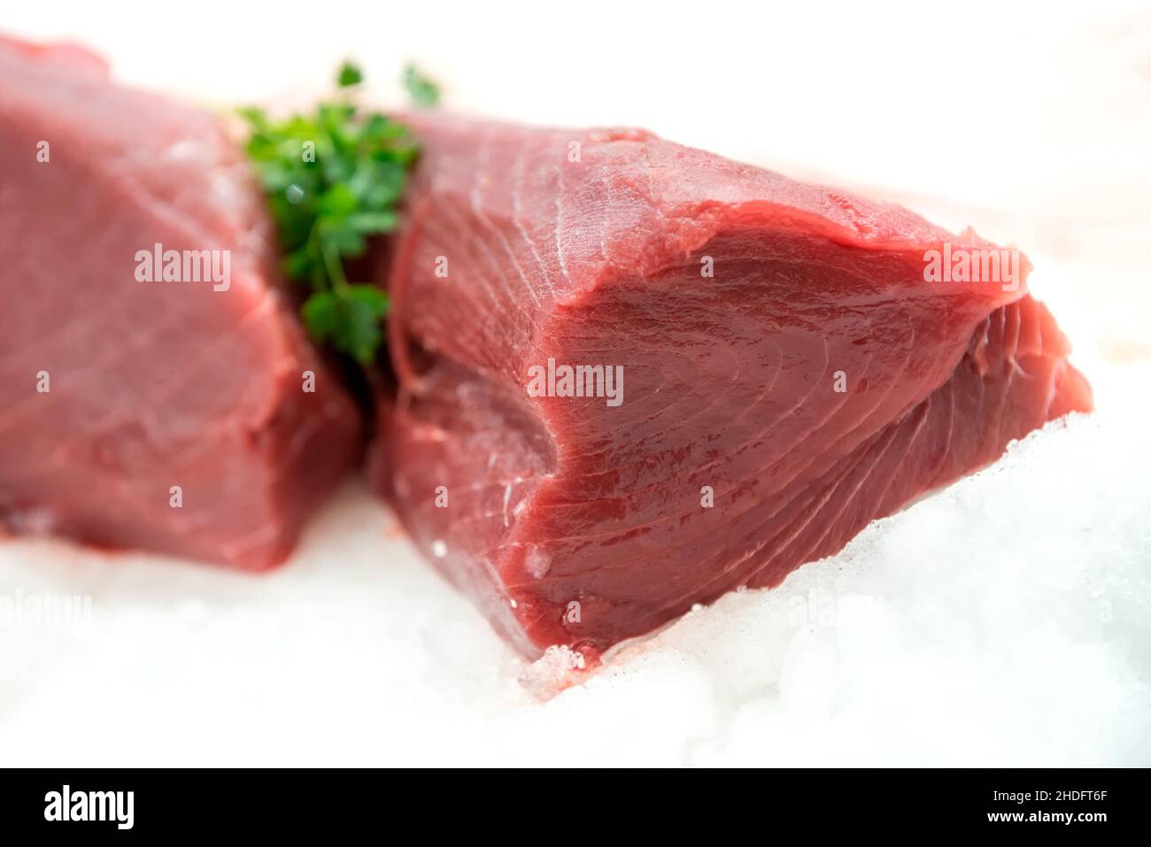 tuna, filet of tuna, tunas, filet of tunas Stock Photo - Alamy
