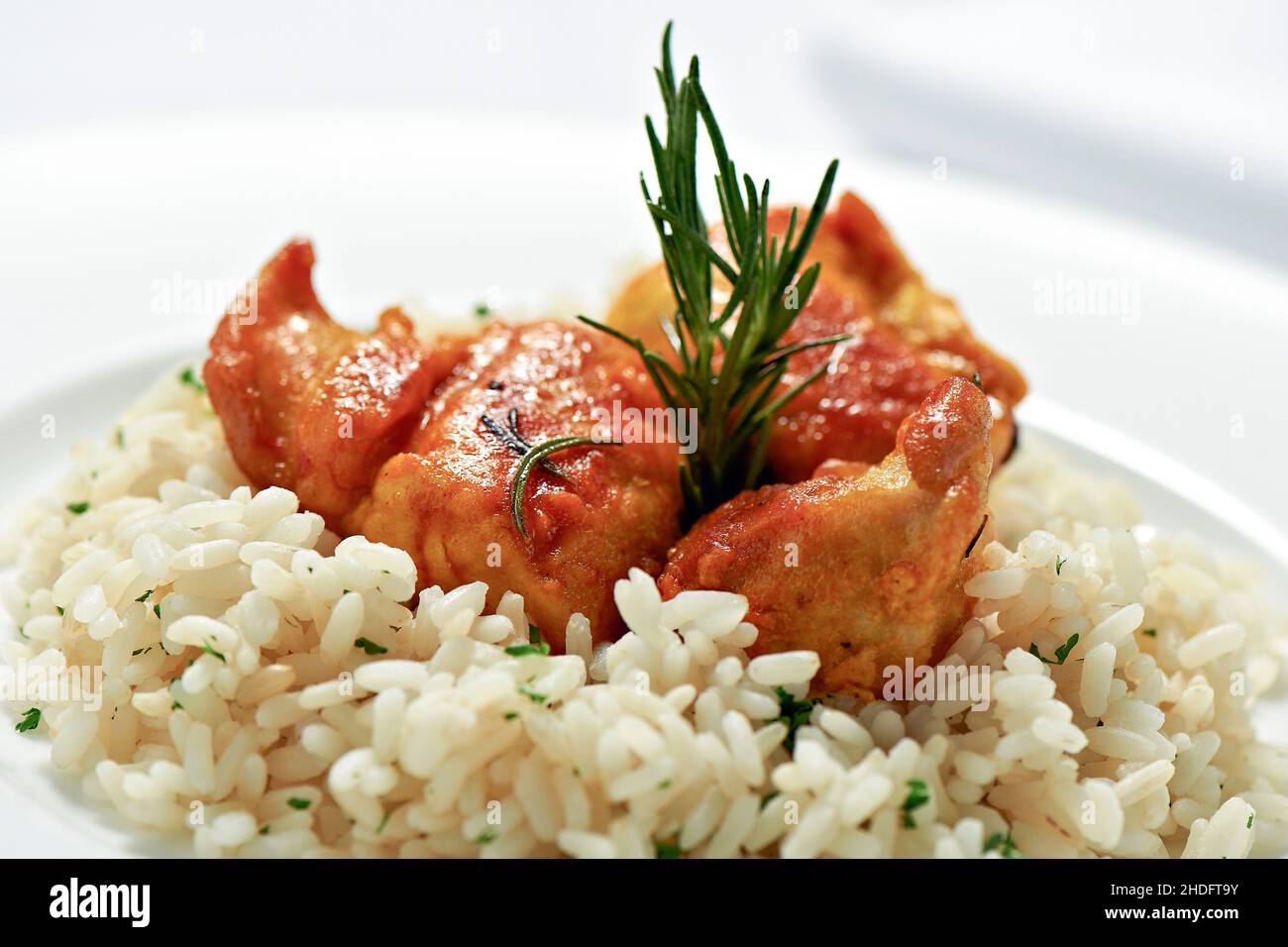 rice, ragout, rabbit meat, rices, ragouts, rabbit meats Stock Photo - Alamy