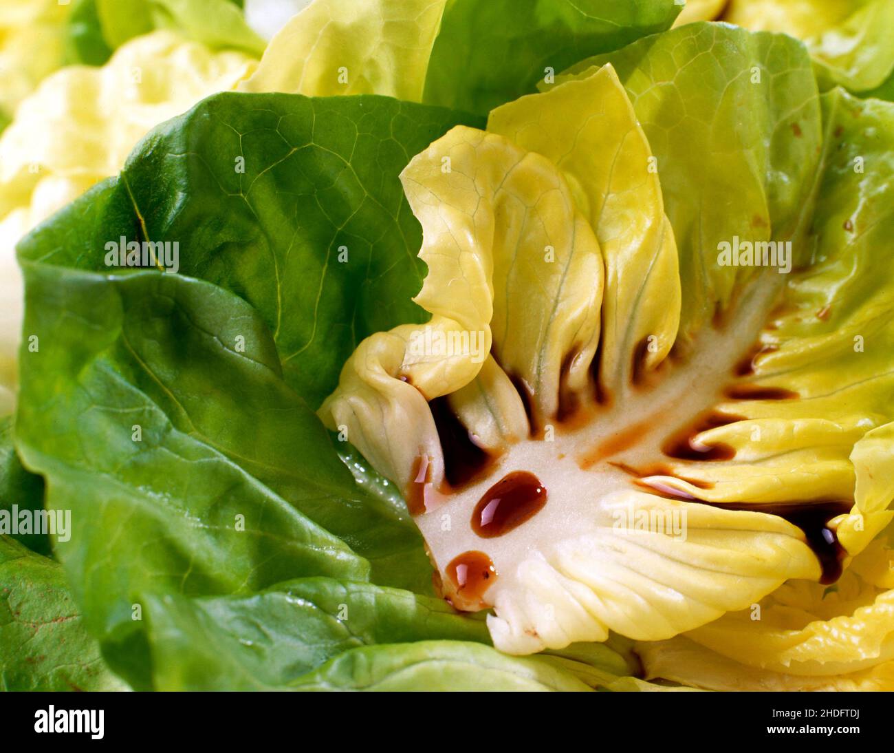 leaf lettuce, balsamic vinegar, salad dressing, leaf lettuces, balsamic ...