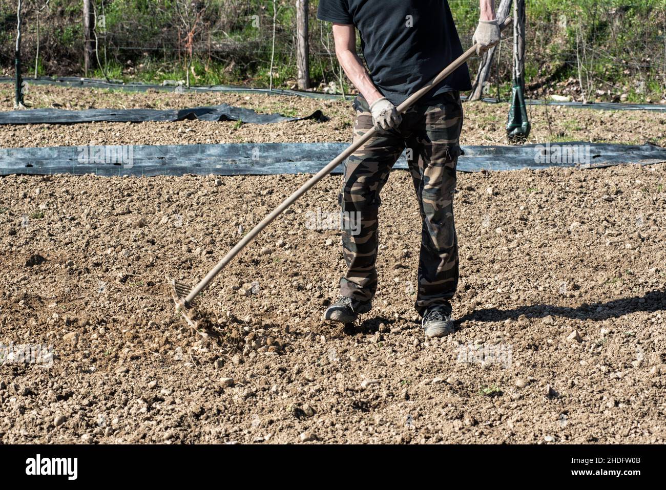 Bottom field hi-res stock photography and images - Alamy