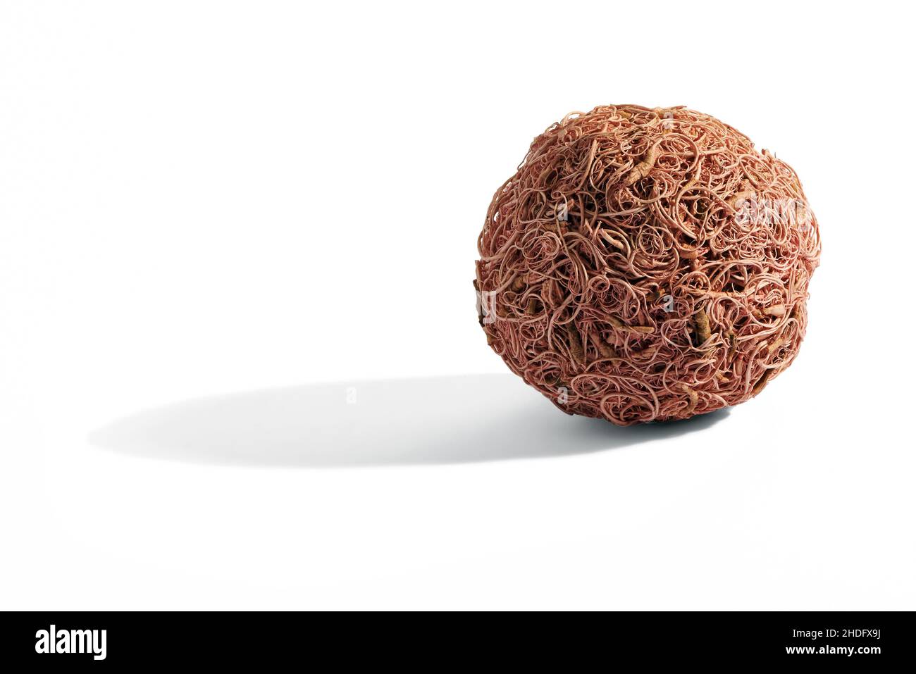 sphere, nature materials, spheres, nature material, nature stuff Stock ...