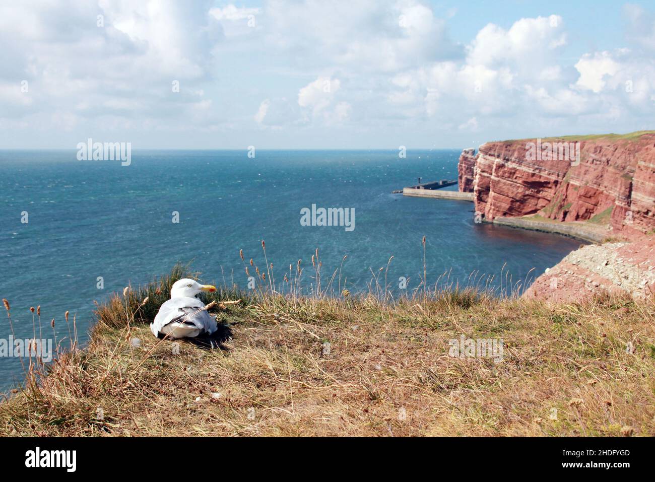 Helgoland islands hi-res stock photography and images - Alamy