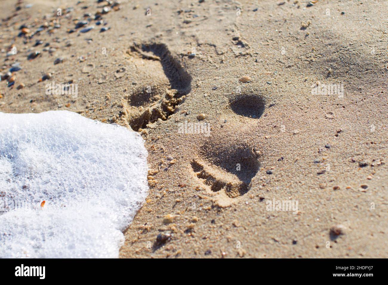 Natures footprints hi-res stock photography and images - Alamy