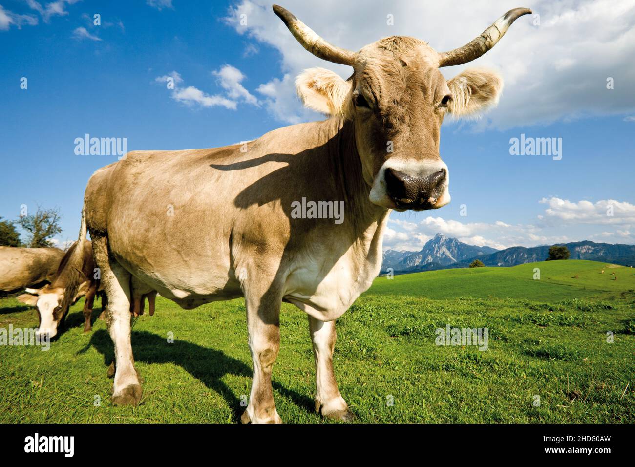 3 angles hi-res stock photography and images - Alamy