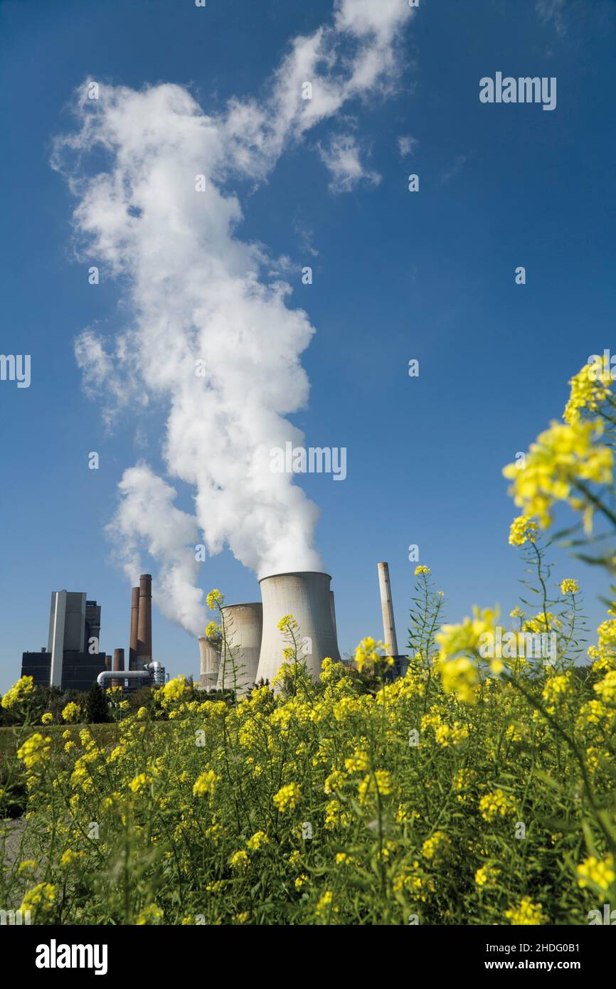 coal fired power plant, particulate dust, smoke windrows, coal-fired ...