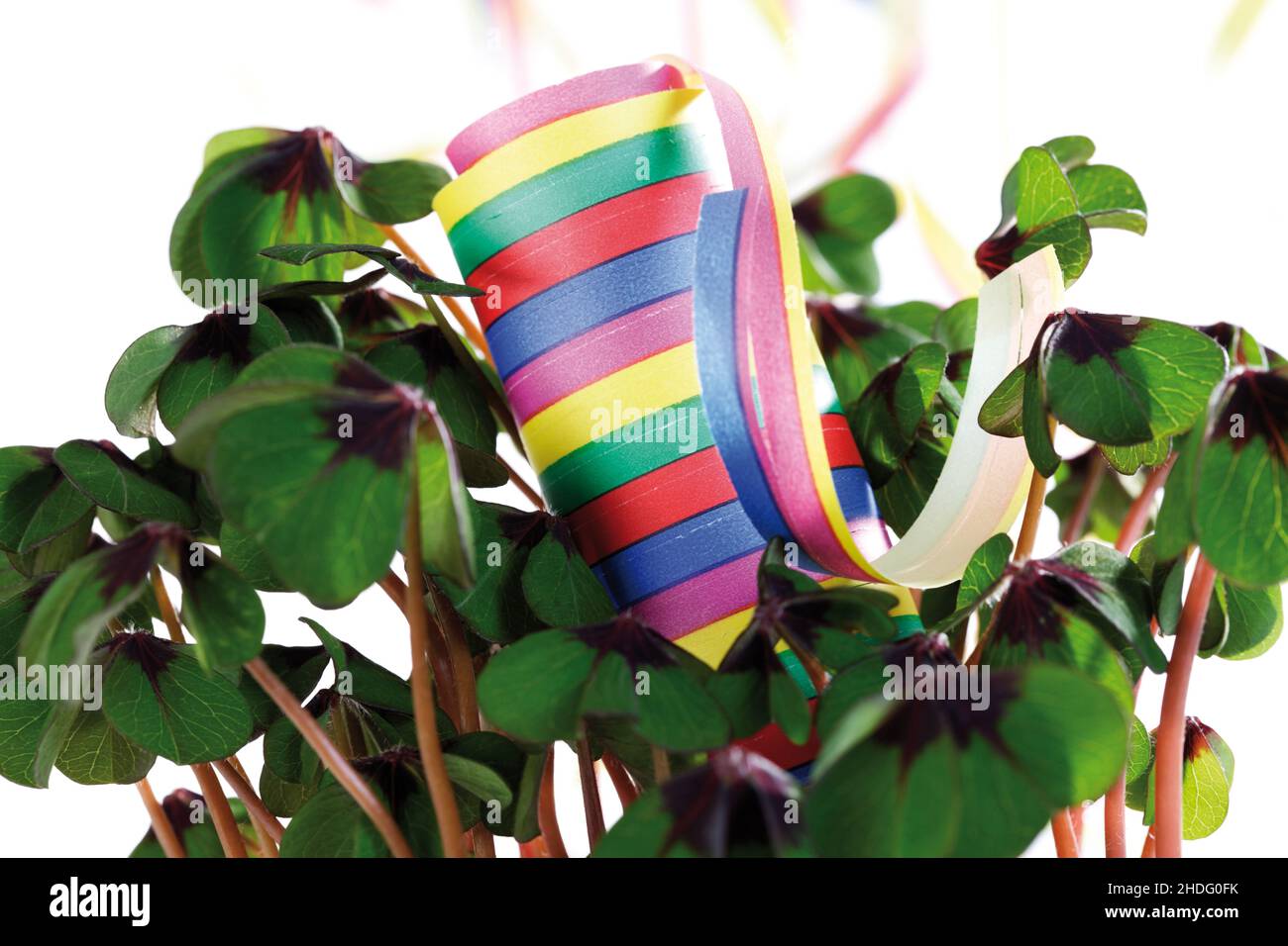 new years eve, four leafed clover, streamer, new years eves, four ...