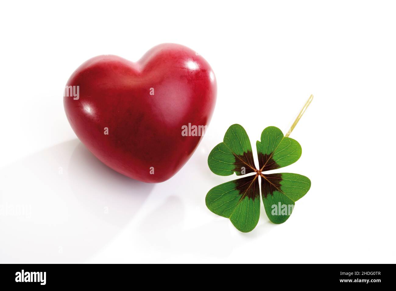 heart, four leafed clover, hearts, four-leafed clovers Stock Photo - Alamy