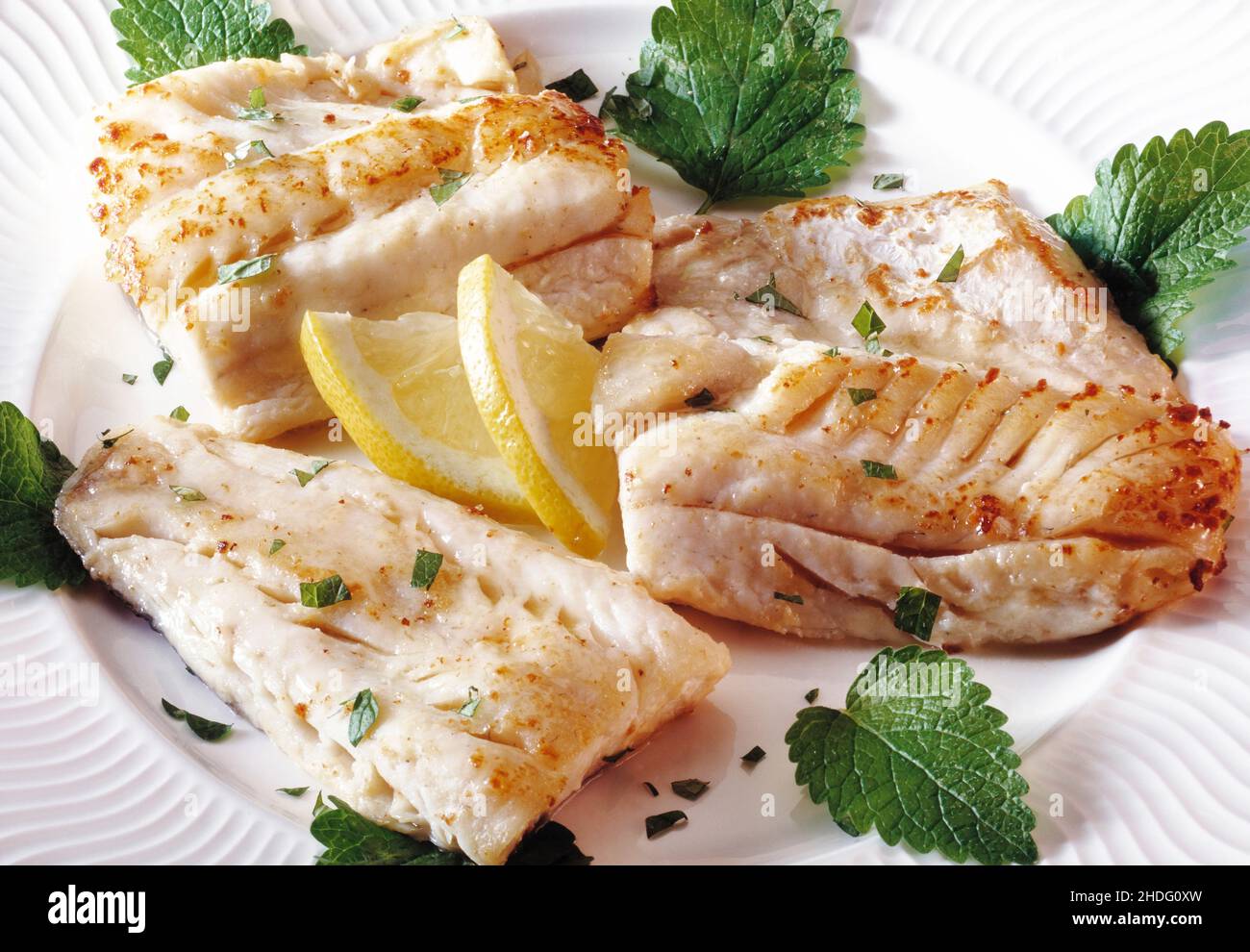 fish dish, pike perch fillet, fish dishs Stock Photo - Alamy