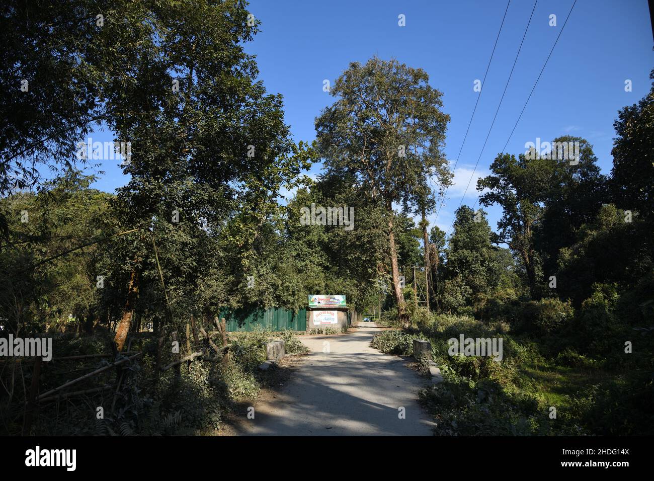 Lataguri hi-res stock photography and images - Alamy