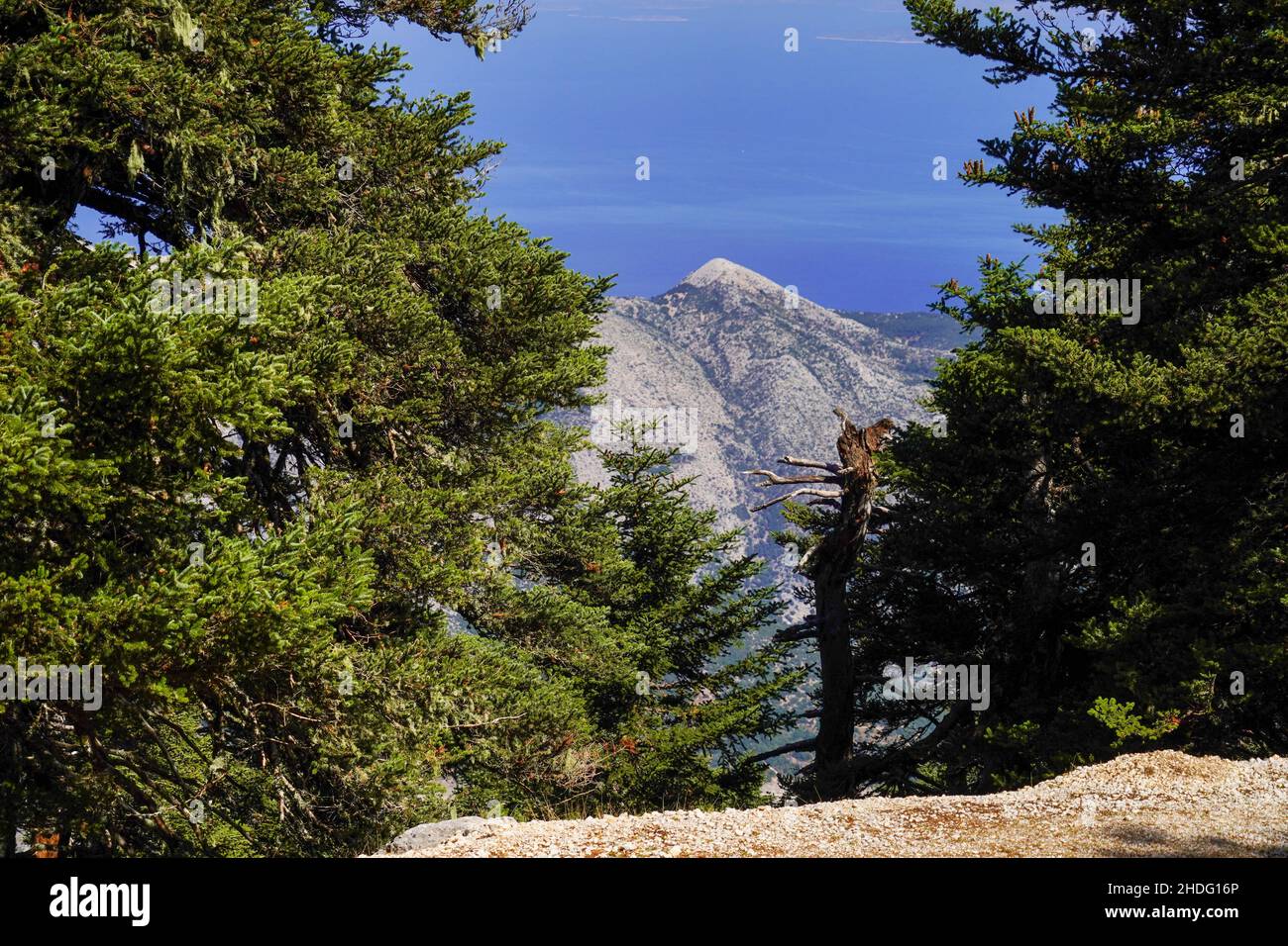 Aenos (Ainos) mountain and forest on the Greek Island of Cephalonia ...