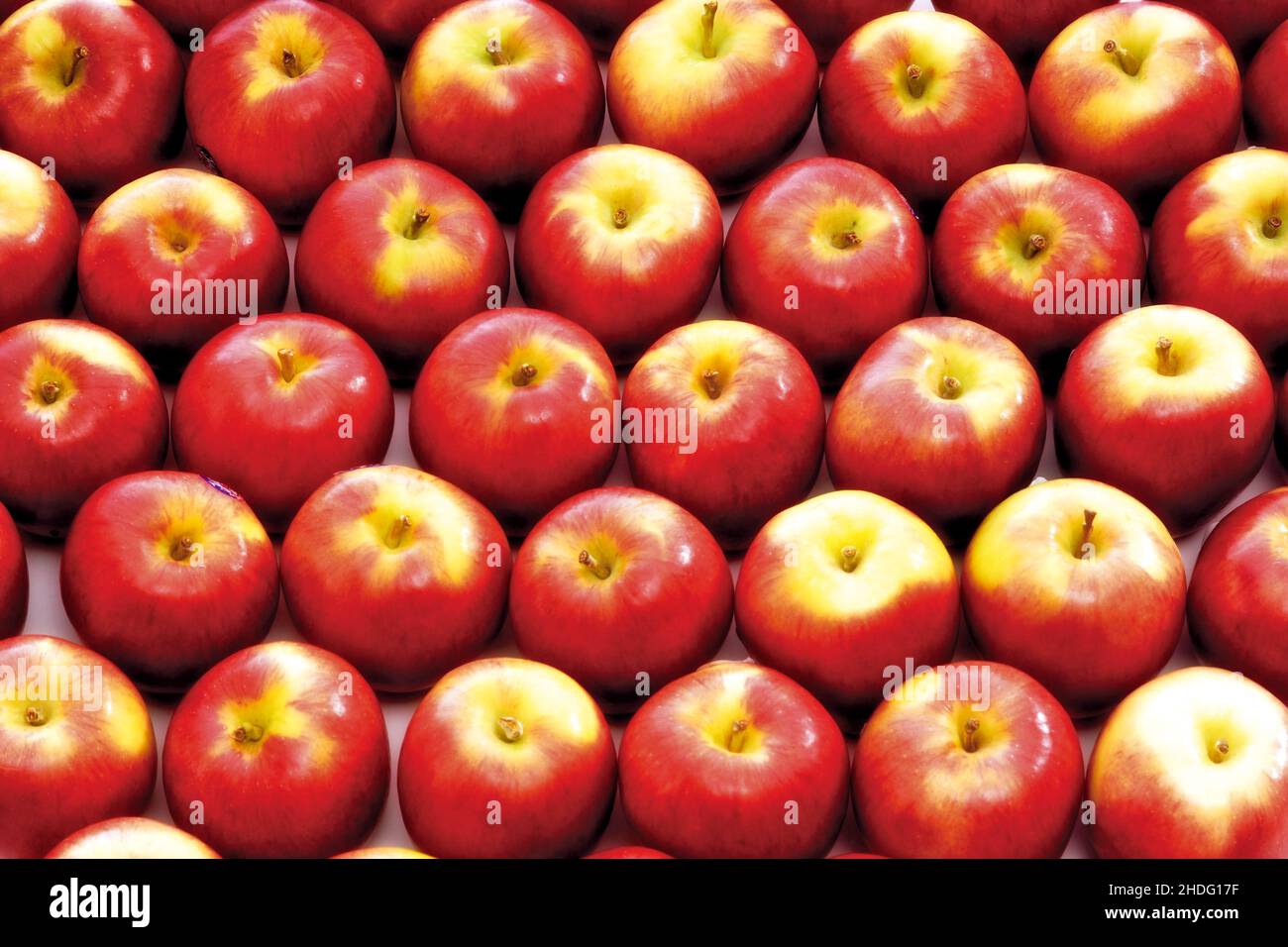 apple, palette, apples, palettes Stock Photo - Alamy