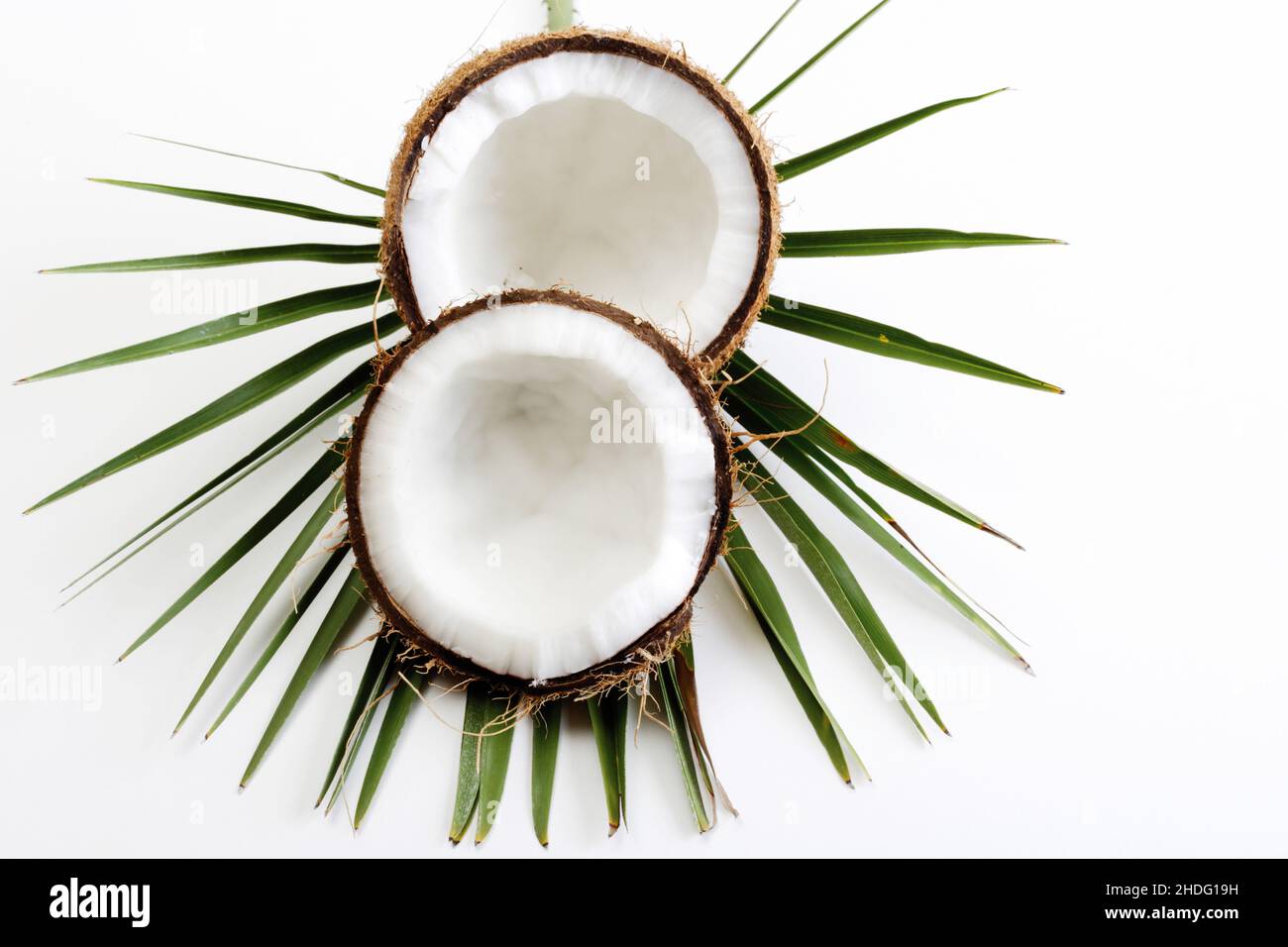 coconut, coconut mark, coconuts, coconut marks Stock Photo - Alamy