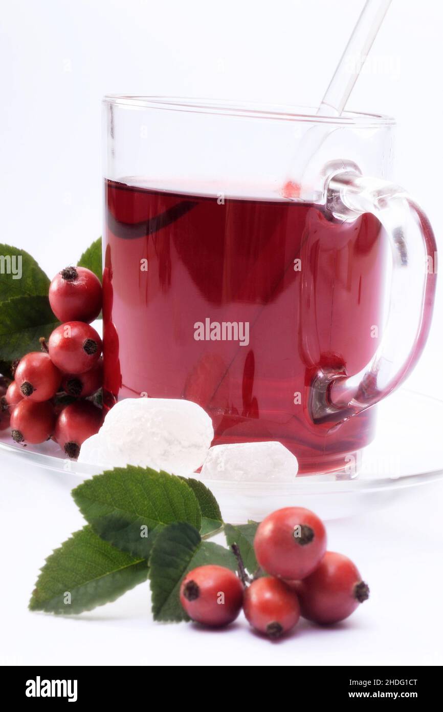 rose hip tea, rose hip teas Stock Photo - Alamy
