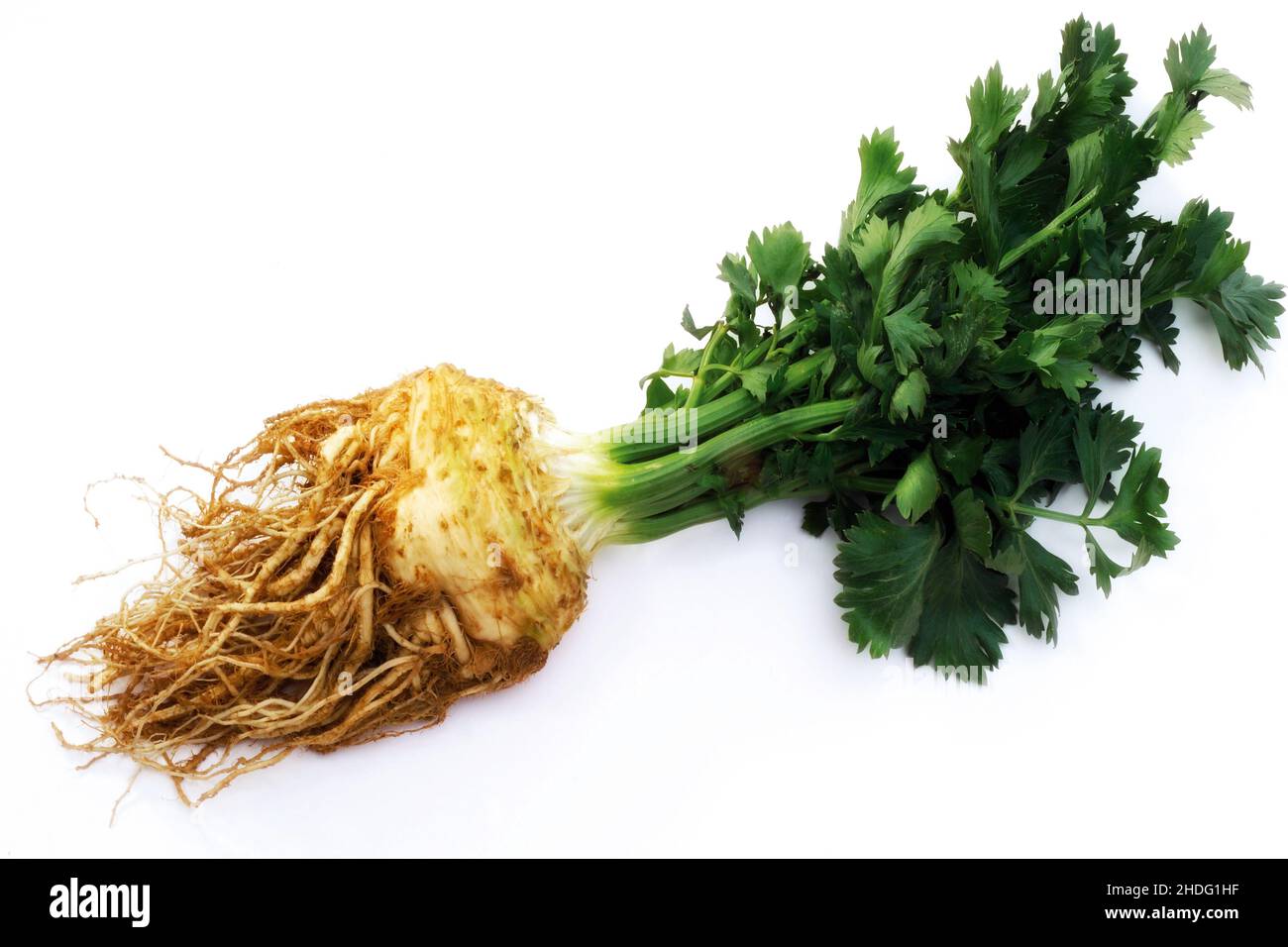 vegetable, celery, vegetables, celery root, celeries Stock Photo - Alamy
