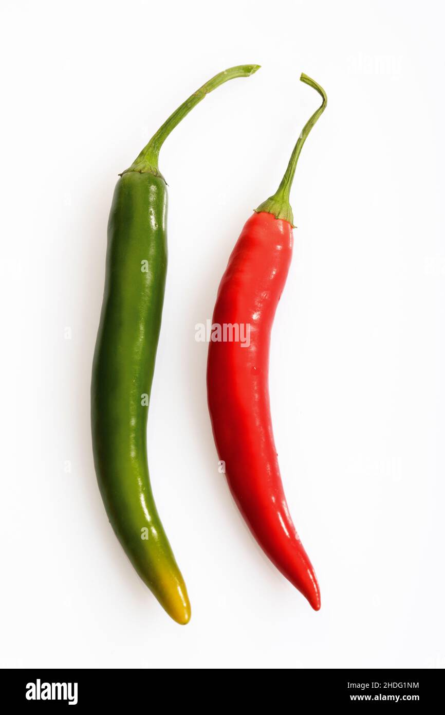 pepperoni, chilli pepper, red pepper, green pepper, pepperonis, chilli ...