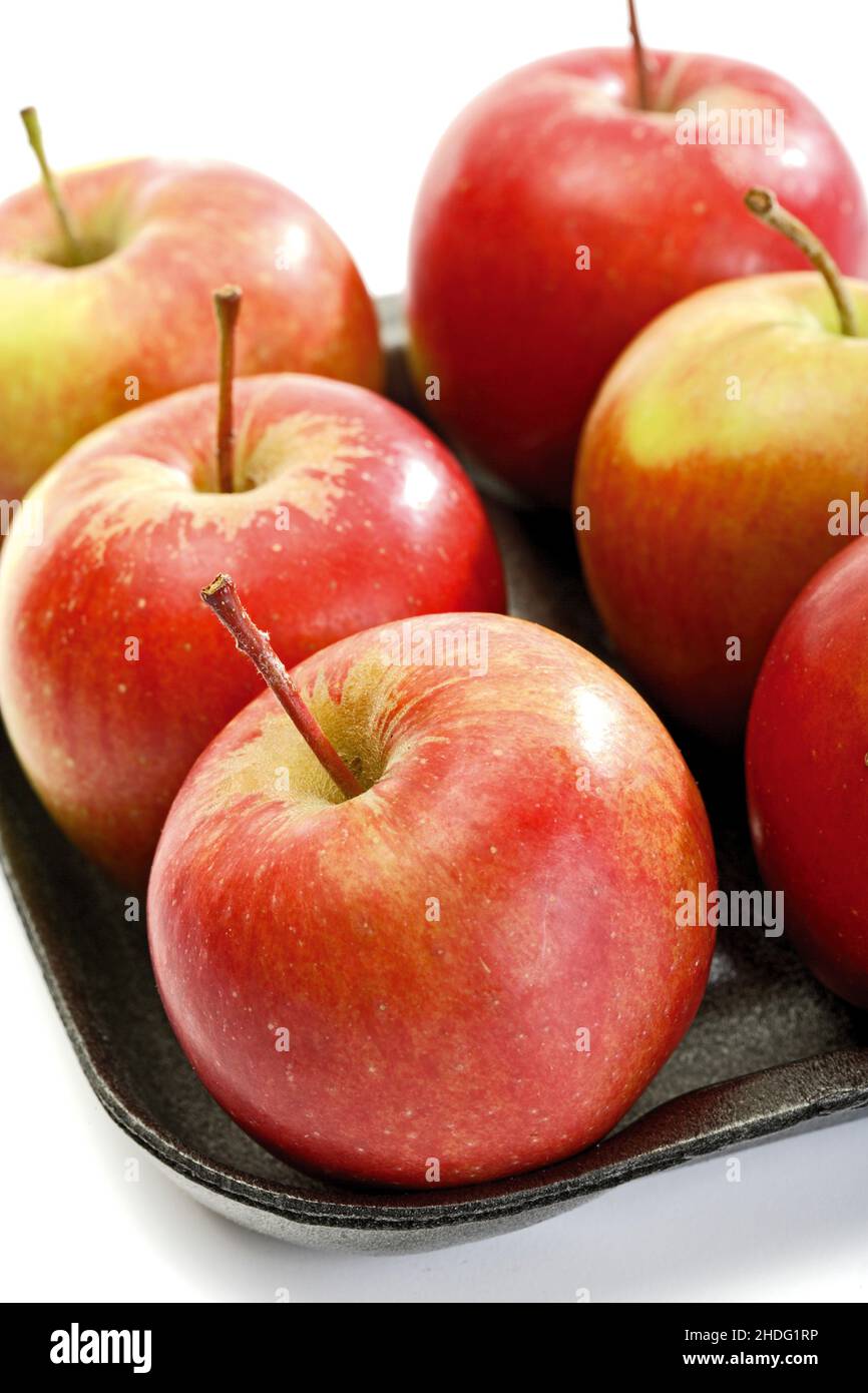 apple, apple variety, jonagold, apples, apple varieties, jonagolds ...