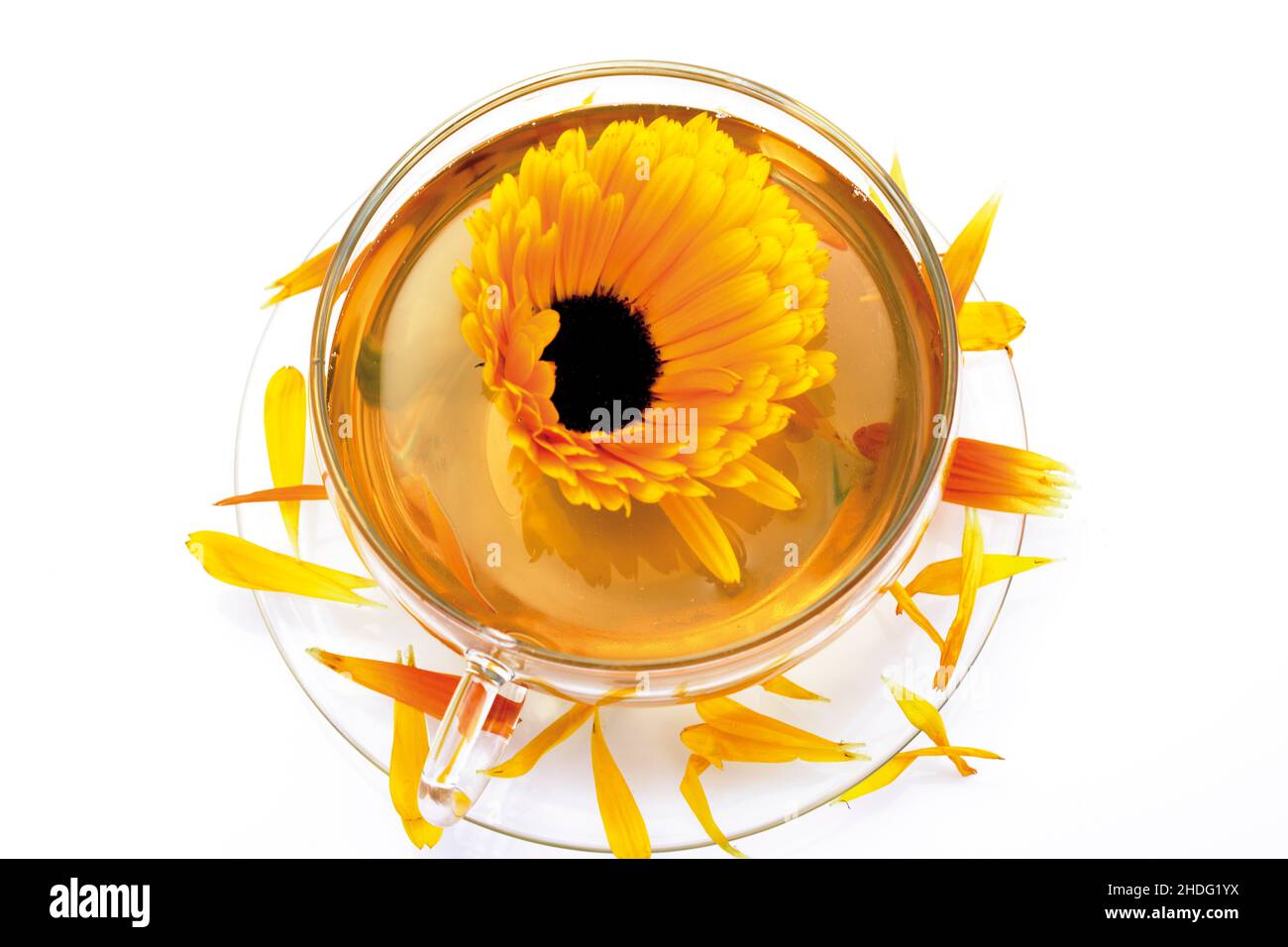 herb, calendula tea, herbs, calendula teas Stock Photo - Alamy