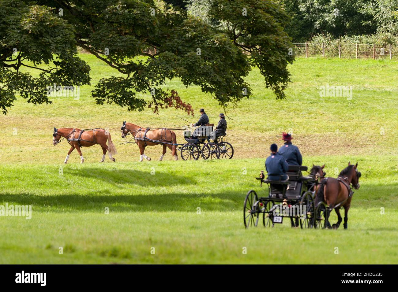Horse driving trials equestrian sport pleasure drives - meetings - in ...