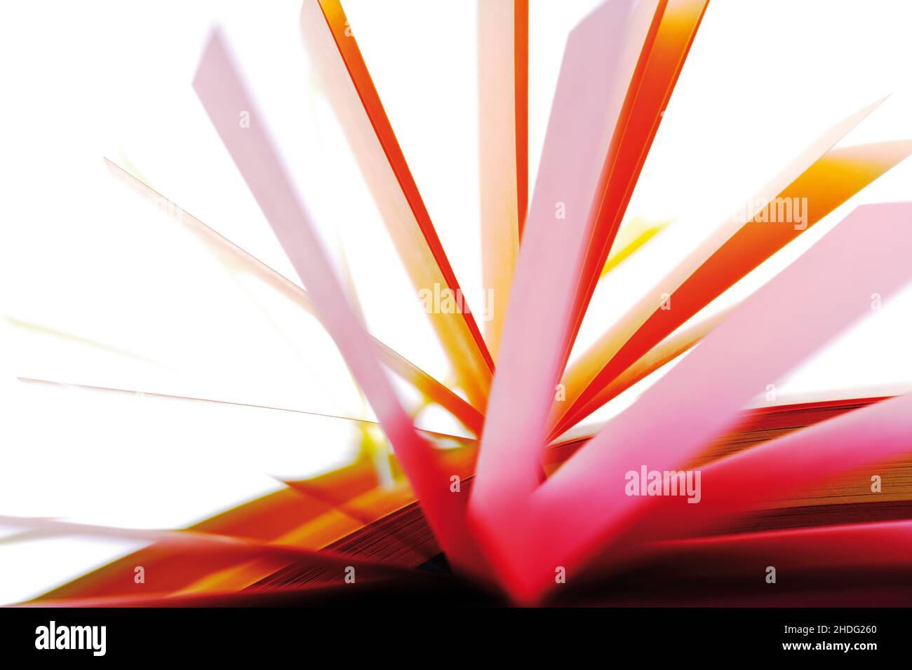 turning page, paper, fan, tossing page, turn over, turning, turning ...