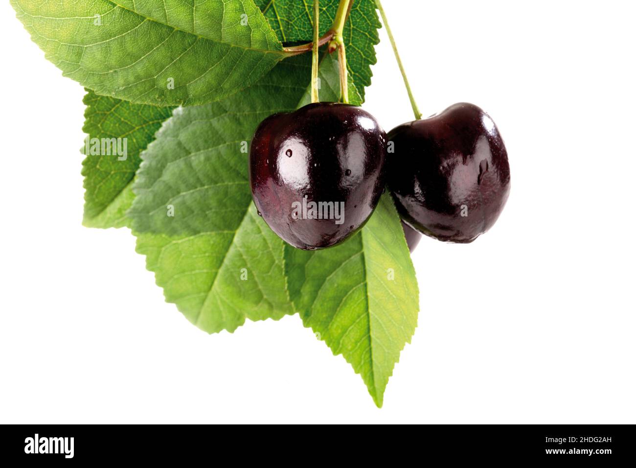 Pair object hi-res stock photography and images - Alamy