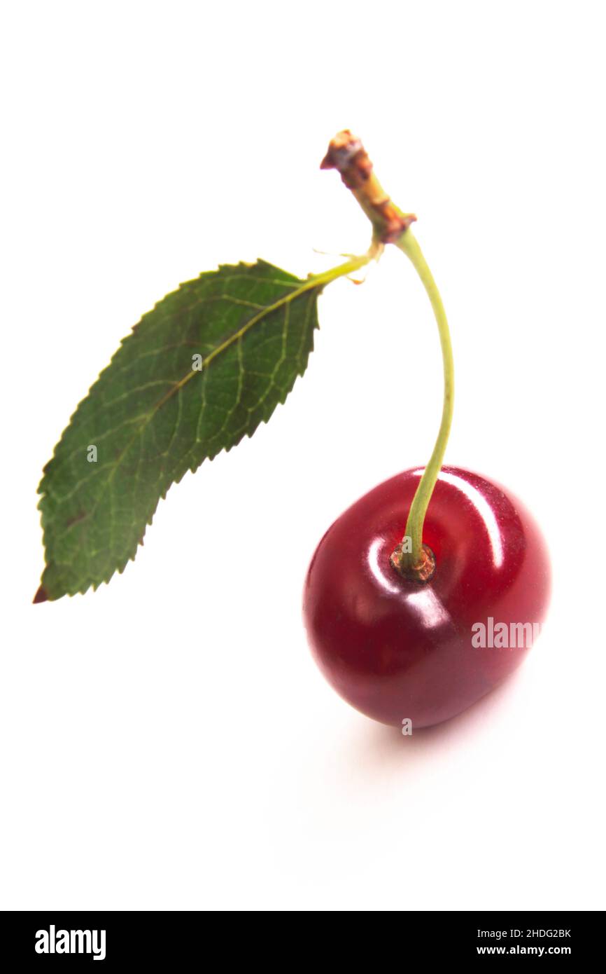 Sour cherry shots hi-res stock photography and images - Alamy