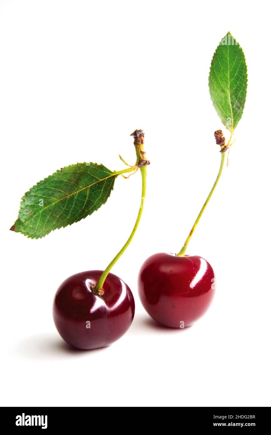 Sour cherry shots hi-res stock photography and images - Alamy