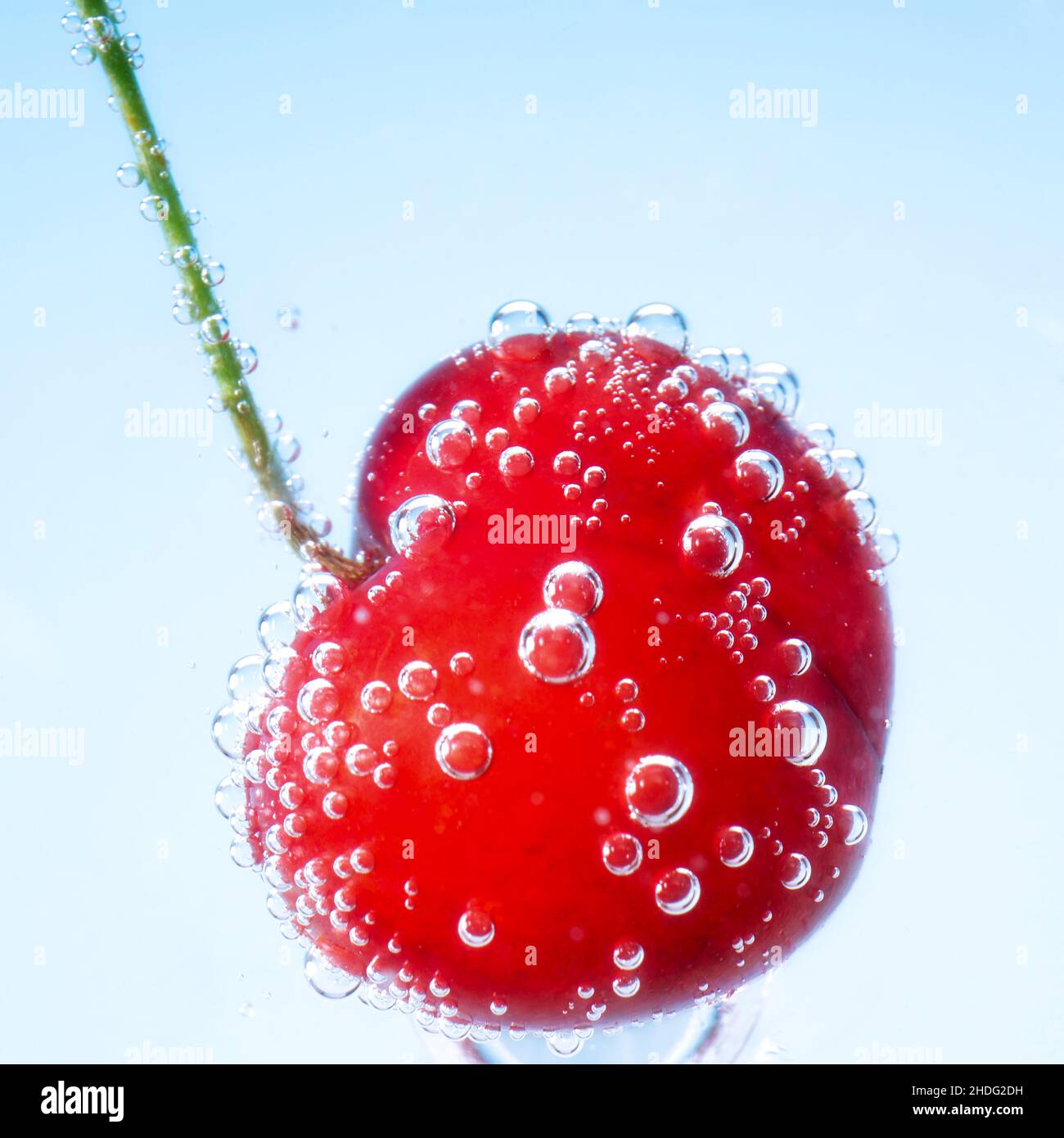 cherry, water bubbles, cherries, water bubble Stock Photo - Alamy