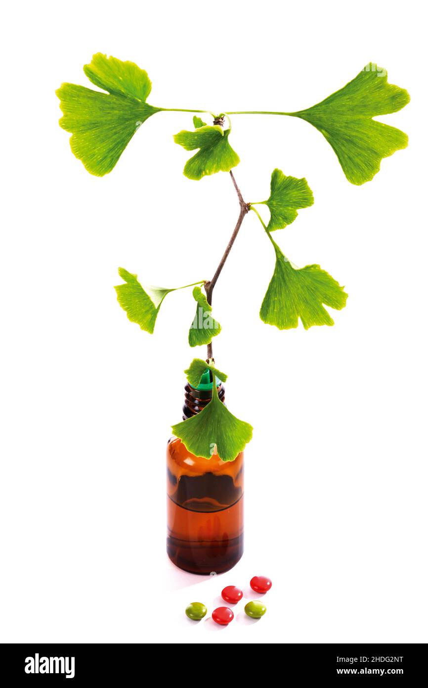 Ginkgo tablet hi-res stock photography and images - Alamy